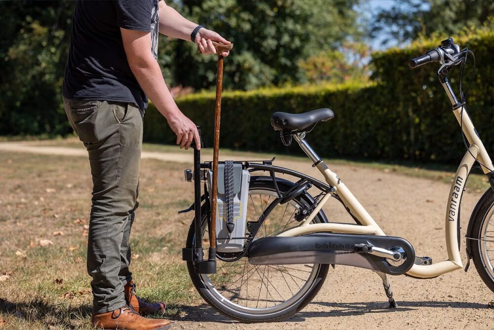 Van Raam lage instapfiets Balance Elektrische fiets - Fietshemel Edam