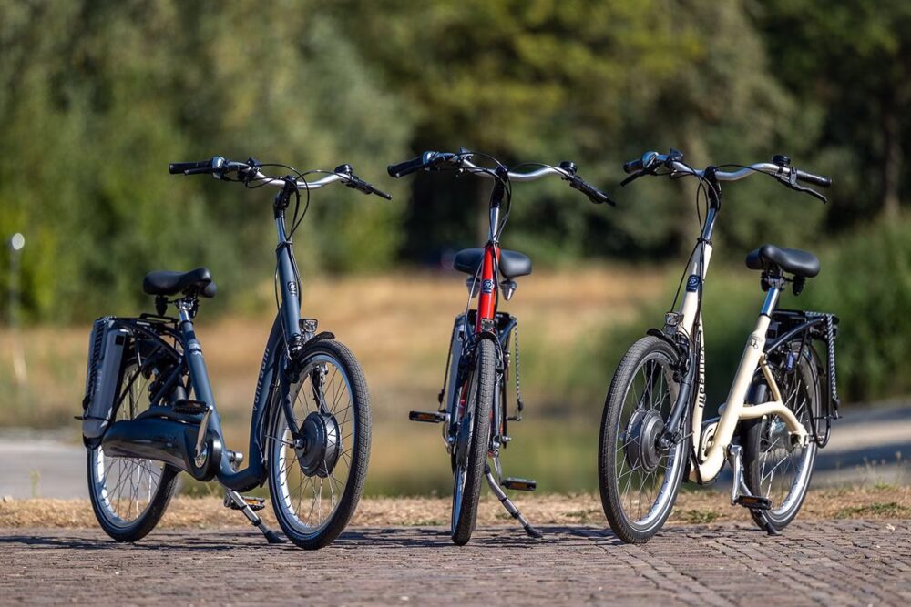 Van Raam lage instapfiets Balance Elektrische fiets - Fietshemel Edam